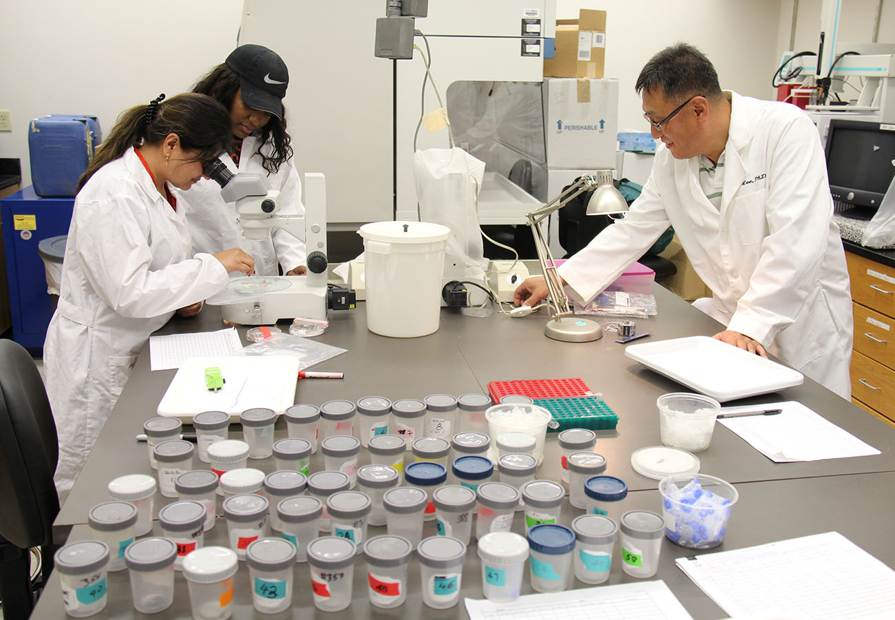 A Biostatistics Masters Programs is Your Path to Data Science